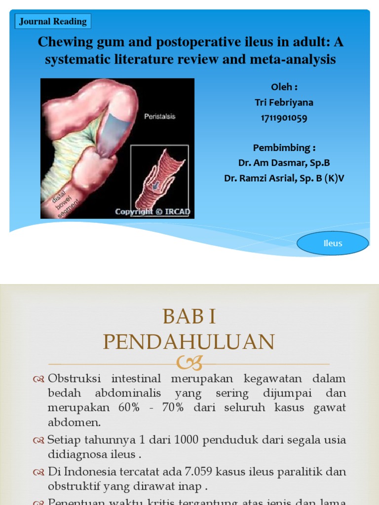 Ileus | PDF
