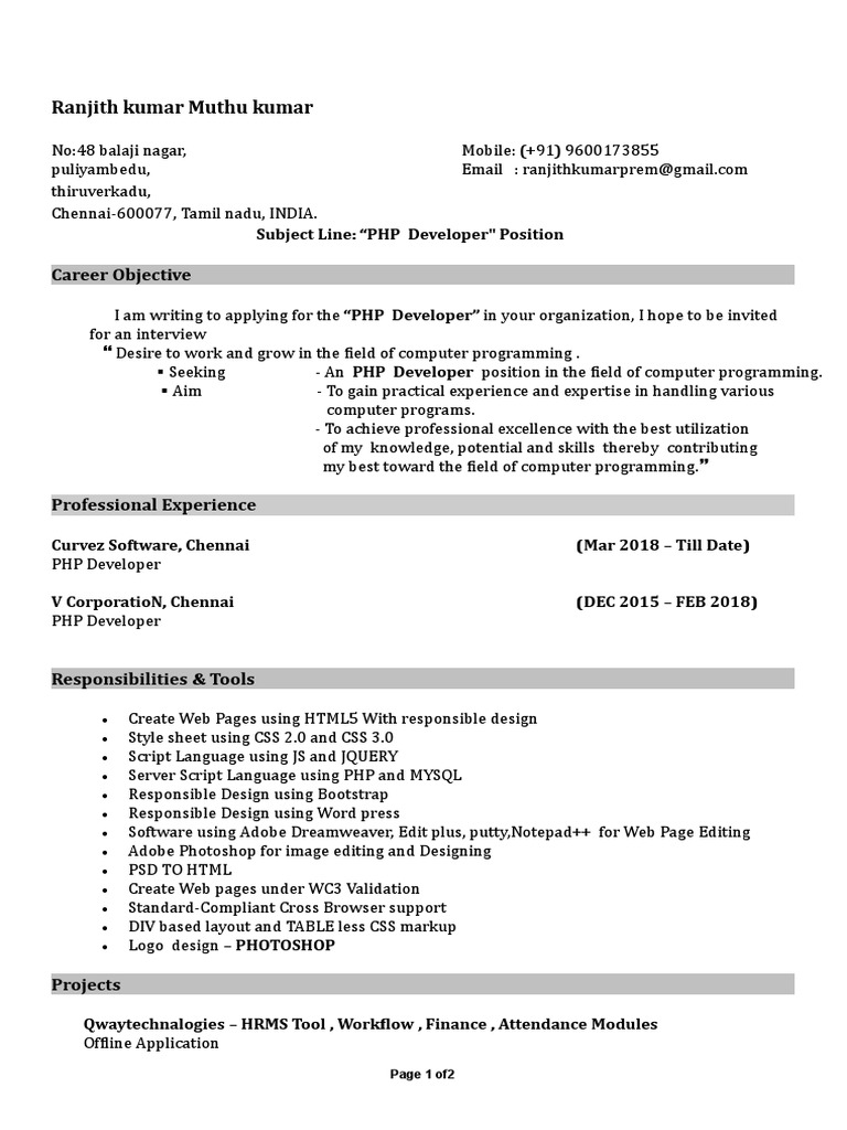 CV | PDF | Cascading Style Sheets | Bootstrap (Front End Framework)
