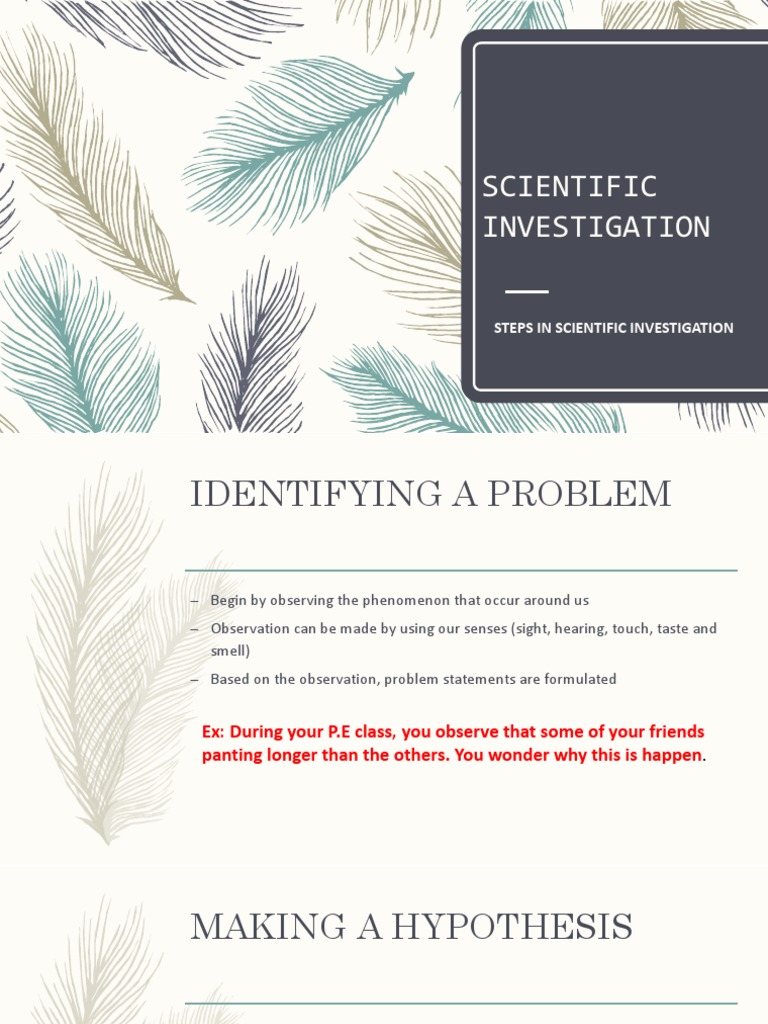 Steps in Scientific Investigation | PDF | Observation | Experiment