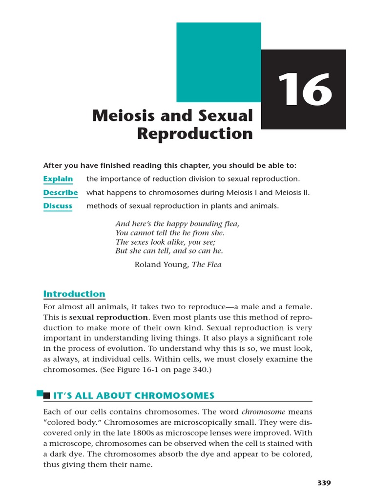Chapter16 PDF | PDF | Meiosis | Sexual Reproduction