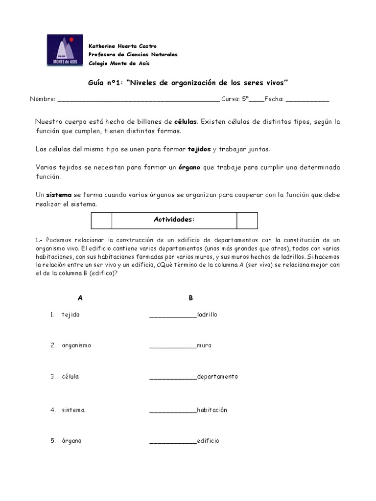 Guia de Repaso Ciencias 6° Basico | PDF
