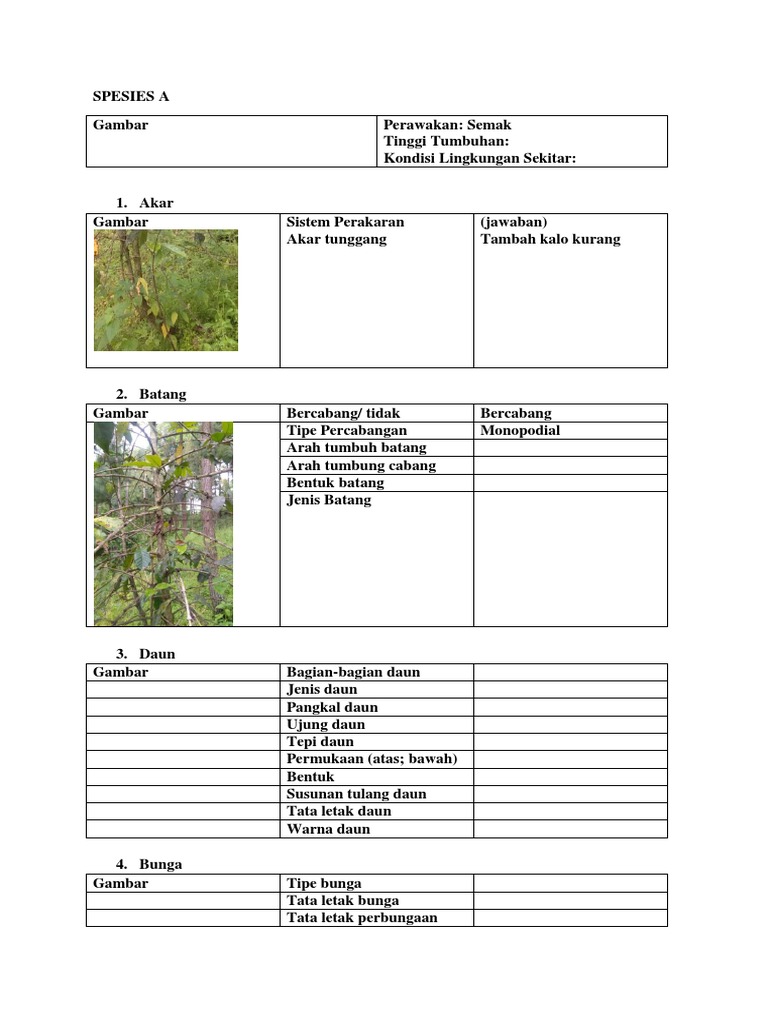 Template Tabel Pengamatan | PDF | Sains & Matematika