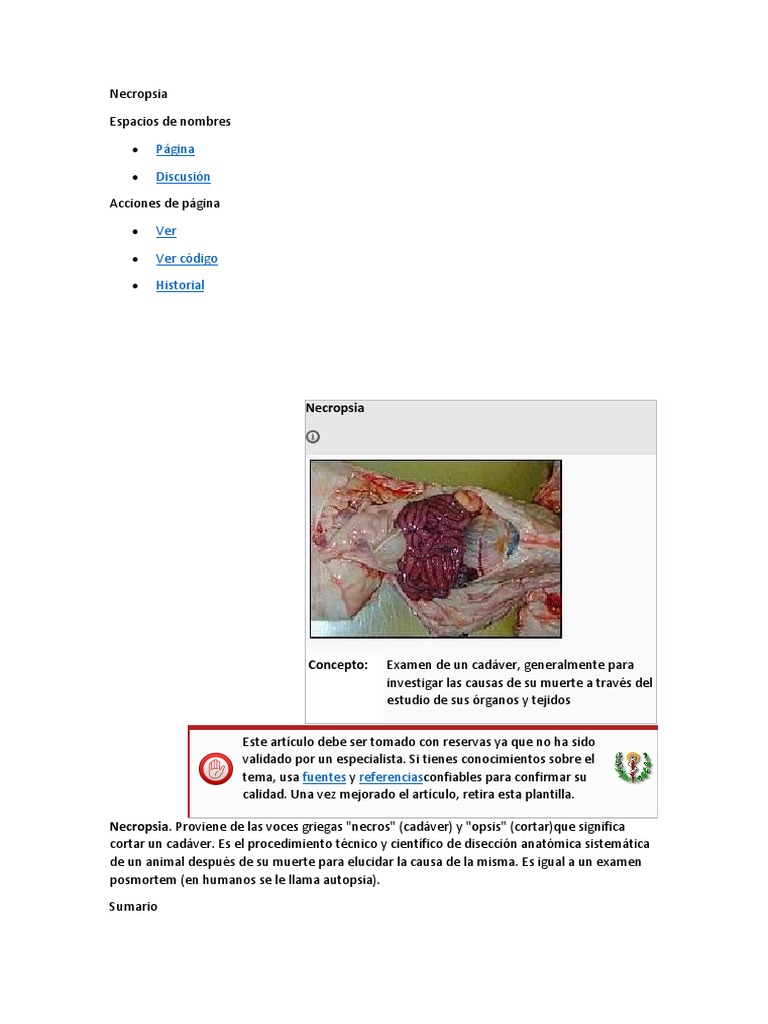Necropsia animal: guía paso a paso | PDF | Sistema digestivo humano ...