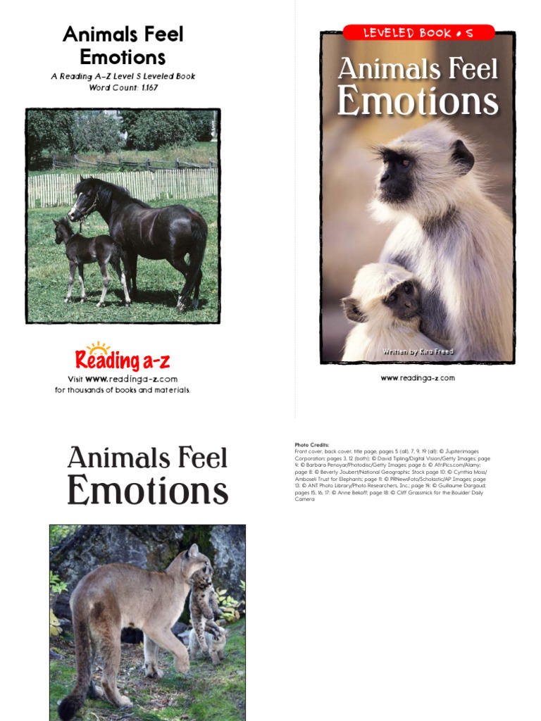 Animals Feel Emotions 03 PDF | PDF | Elephant | Instinct