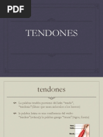 Tendón Normal y Patológico | PDF | Tendón | Anatomía