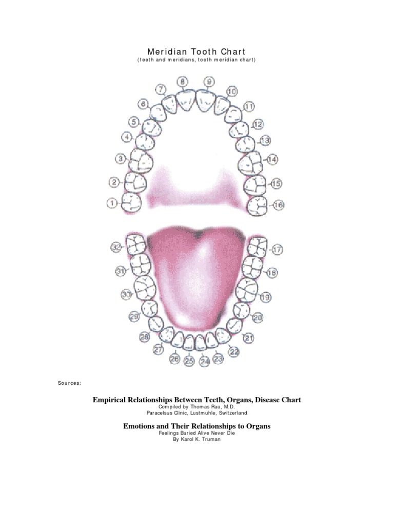 Meridian Tooth Chart | Bile | Tooth