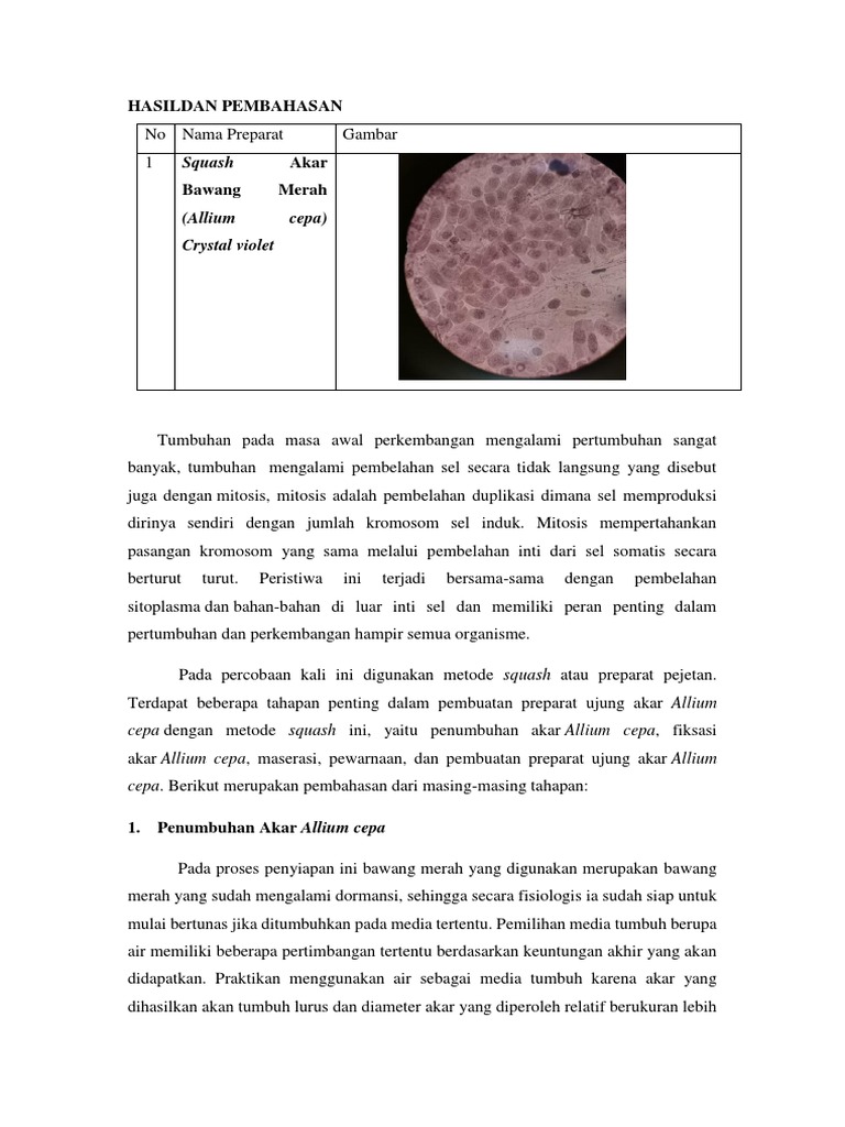 Pembahasan Squash | PDF | Kesehatan Holistik