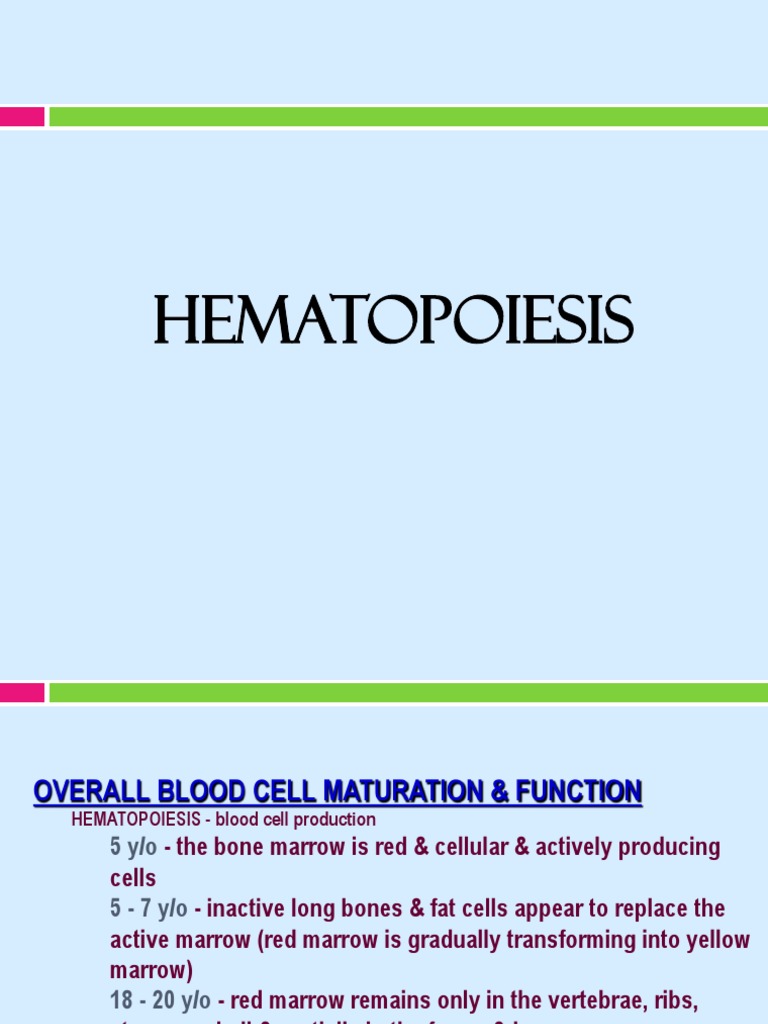 Regulation and Stages of Hematopoiesis | PDF | White Blood Cell ...