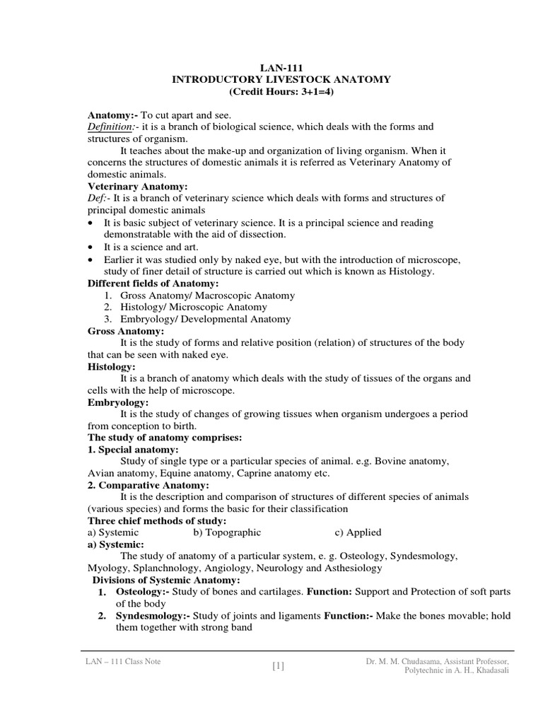 Anatomy Note PDF | PDF | Vertebra | Vertebral Column
