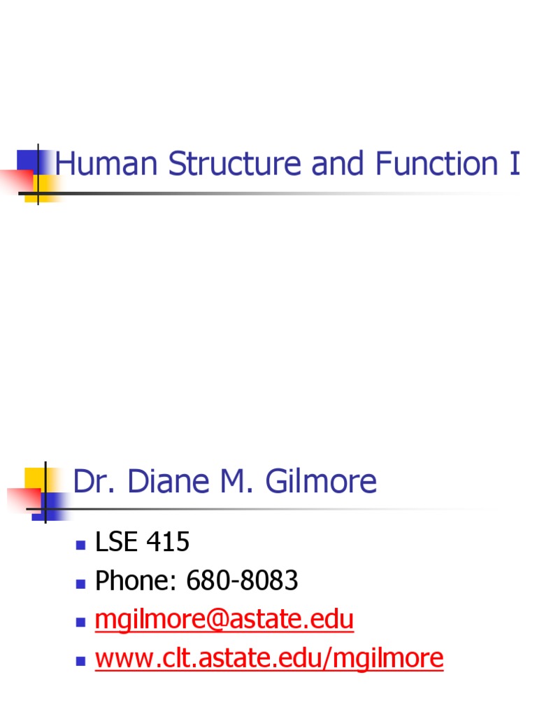 Human Structure and Function I | PDF | Anatomical Terms Of Location ...