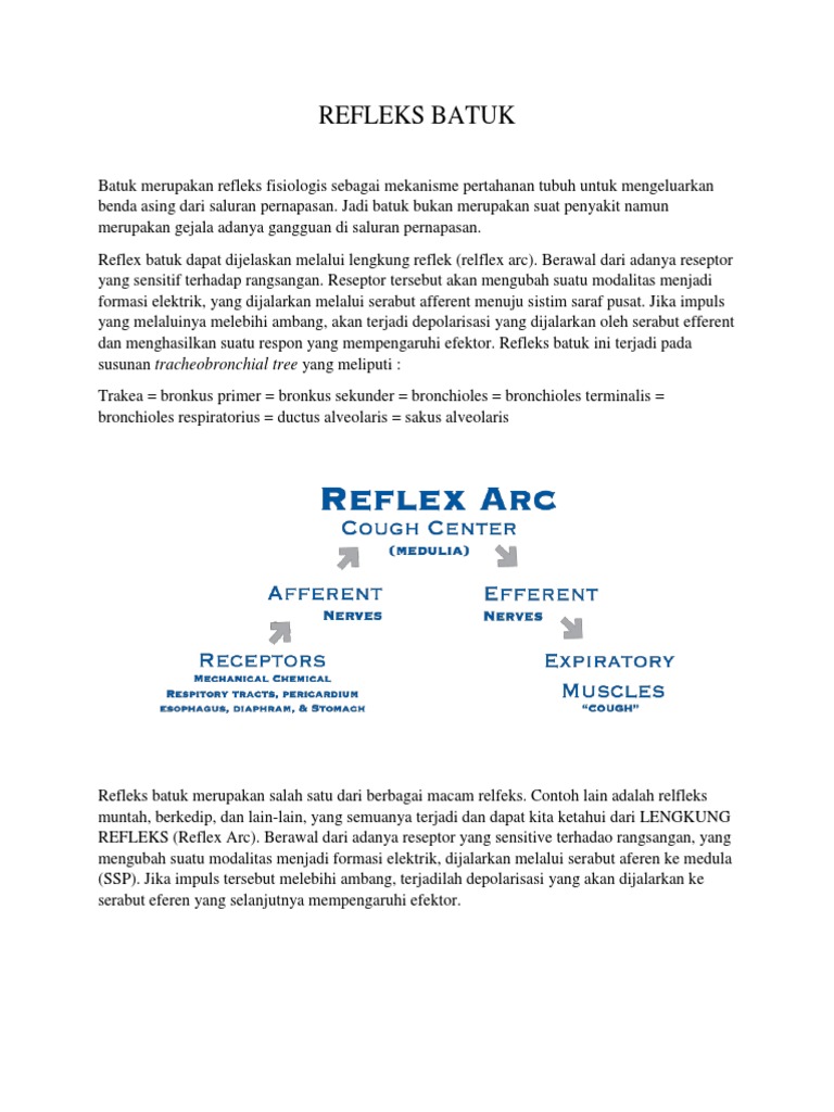 MEKANISME DAN KOMPONEN REFLEKS BATUK | PDF
