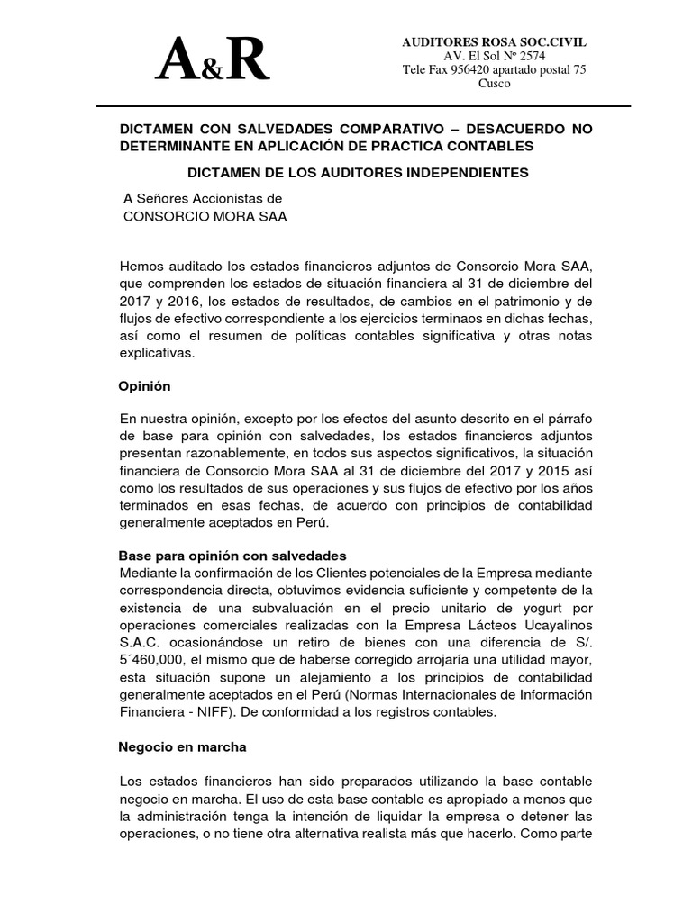 Dictamen Con Salvedad | PDF | Auditoría | Estado financiero
