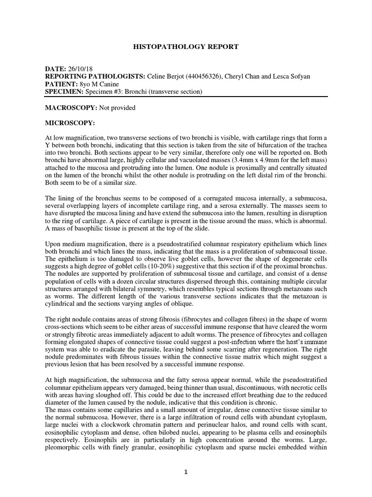 Group 3 Histopathology Report | PDF | Necrosis | Epithelium