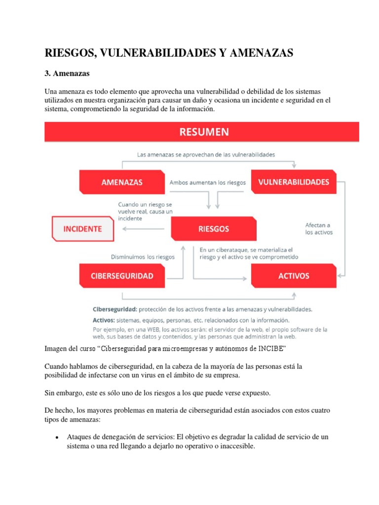 Riesgos, Vulnerabilidades y Amenazas | PDF