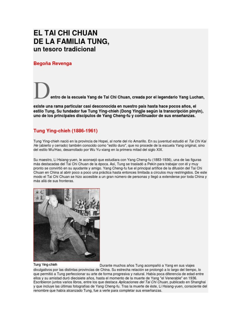 El Tai Chi Chuan PDF | Descargar gratis PDF | Tai Chi