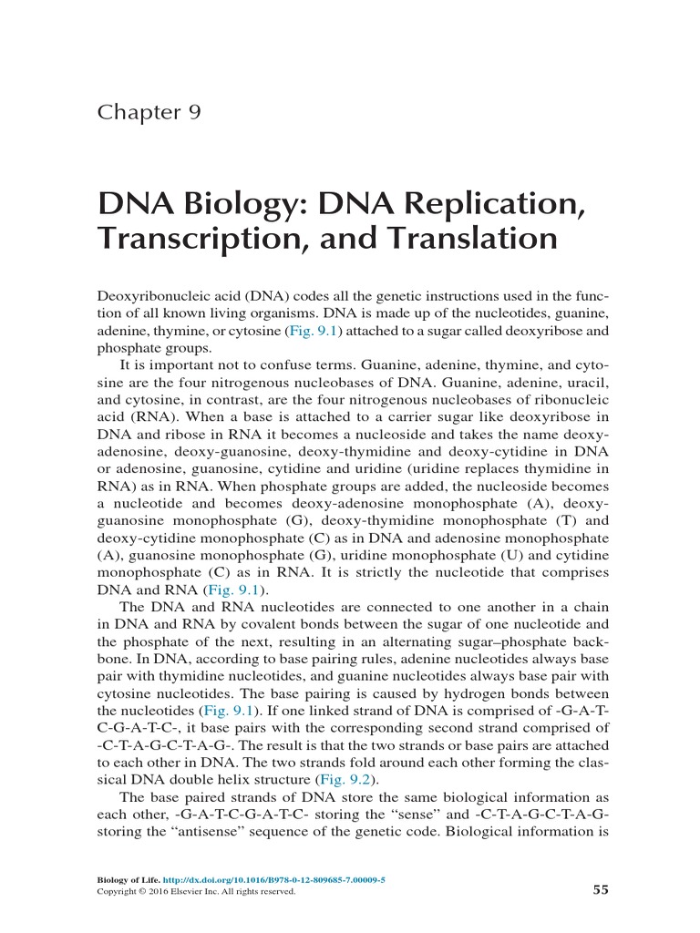 DNA Biology: DNA Replication, Transcription, and Translation | PDF