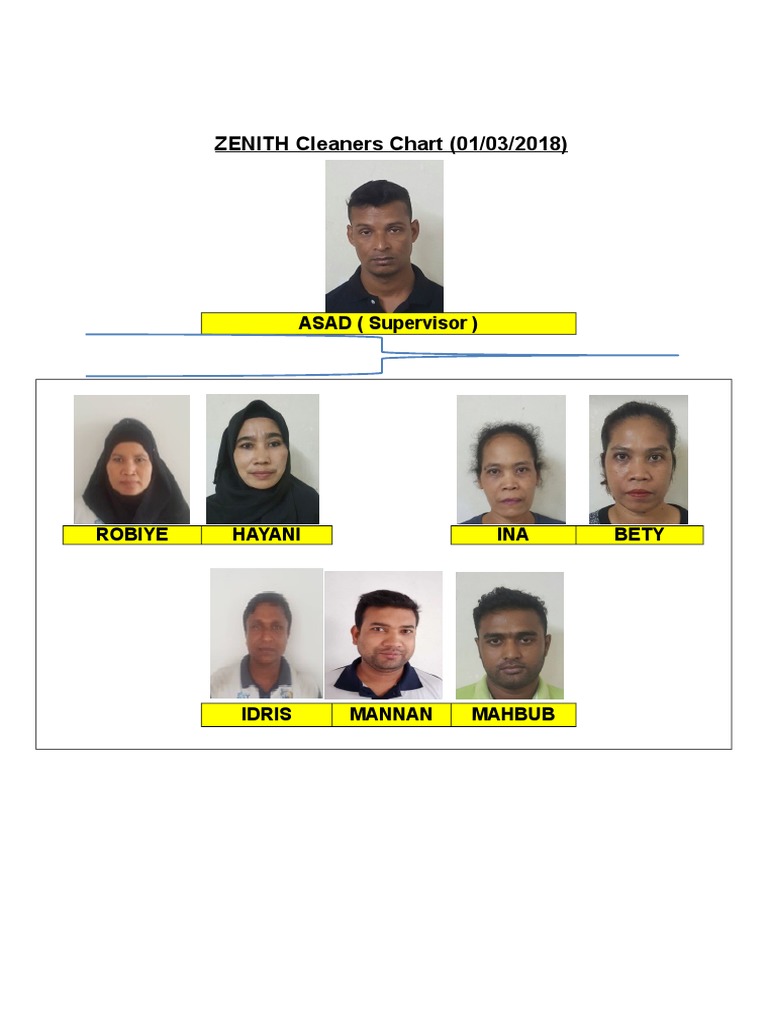 Zenith Cleaners Monthly Overview | PDF