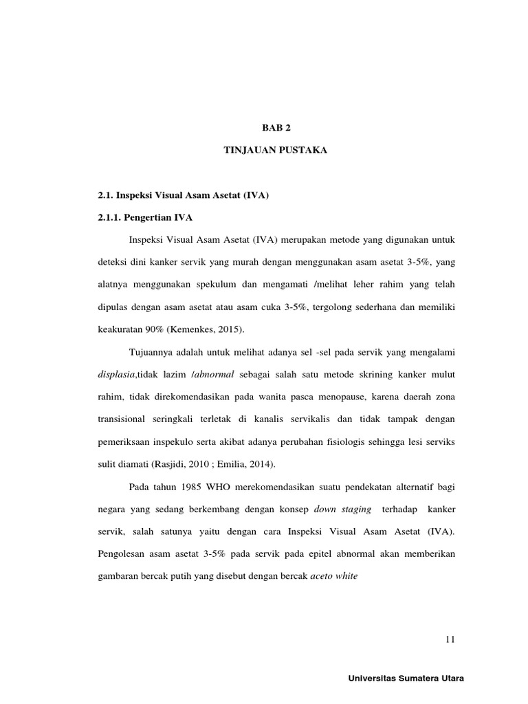 Iva Test | PDF