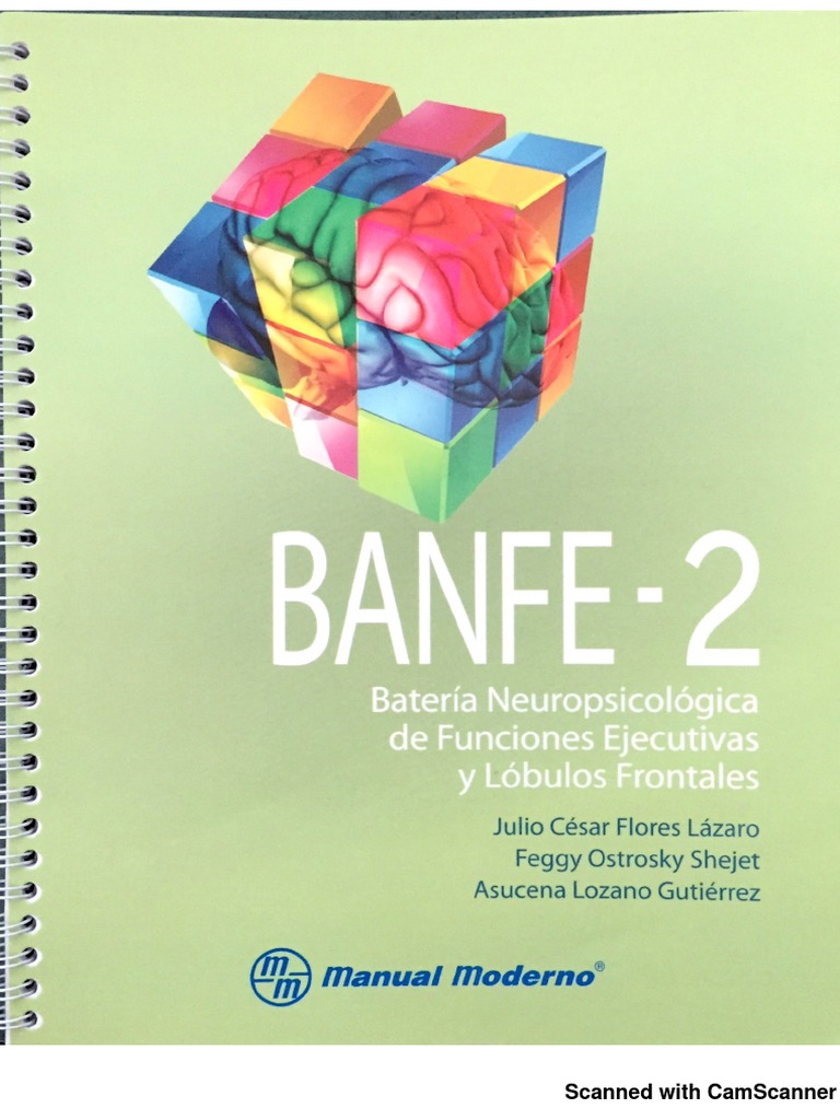Manual Banfe 2 PDF | PDF