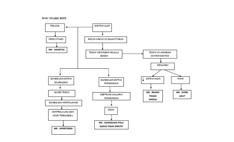 Woc Snake Bite | PDF
