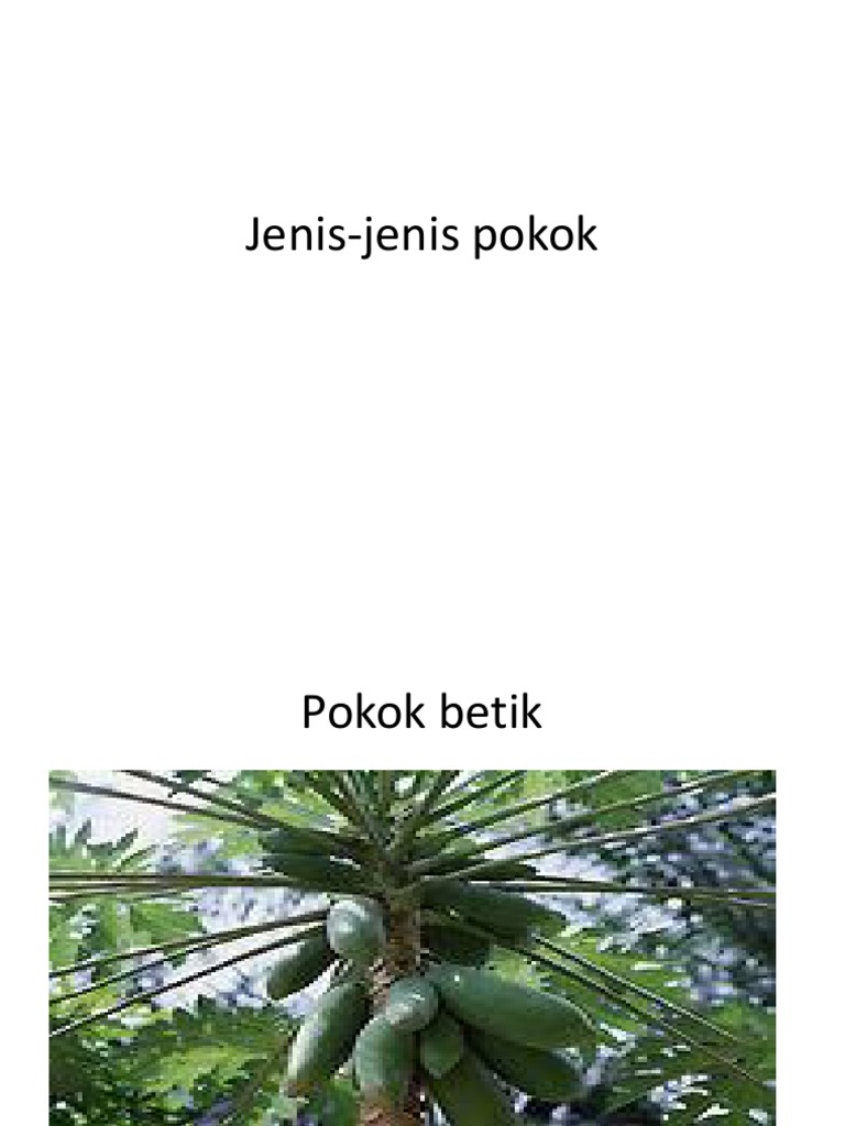 Jenis-Jenis Pokok | PDF