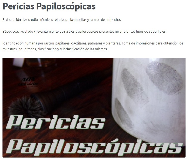 Pericias Papiloscópicas | PDF