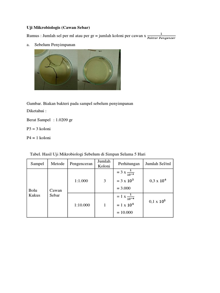 Pembahasan Uji Mikrobiologi | PDF