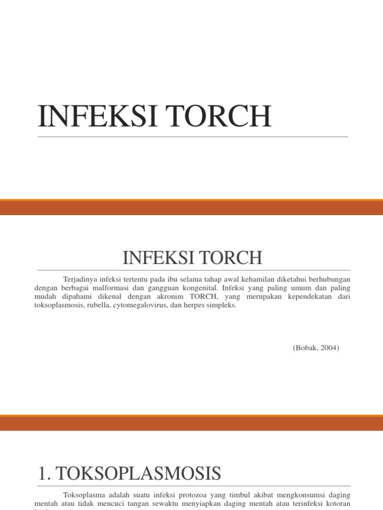 Infeksi TORCH | PDF