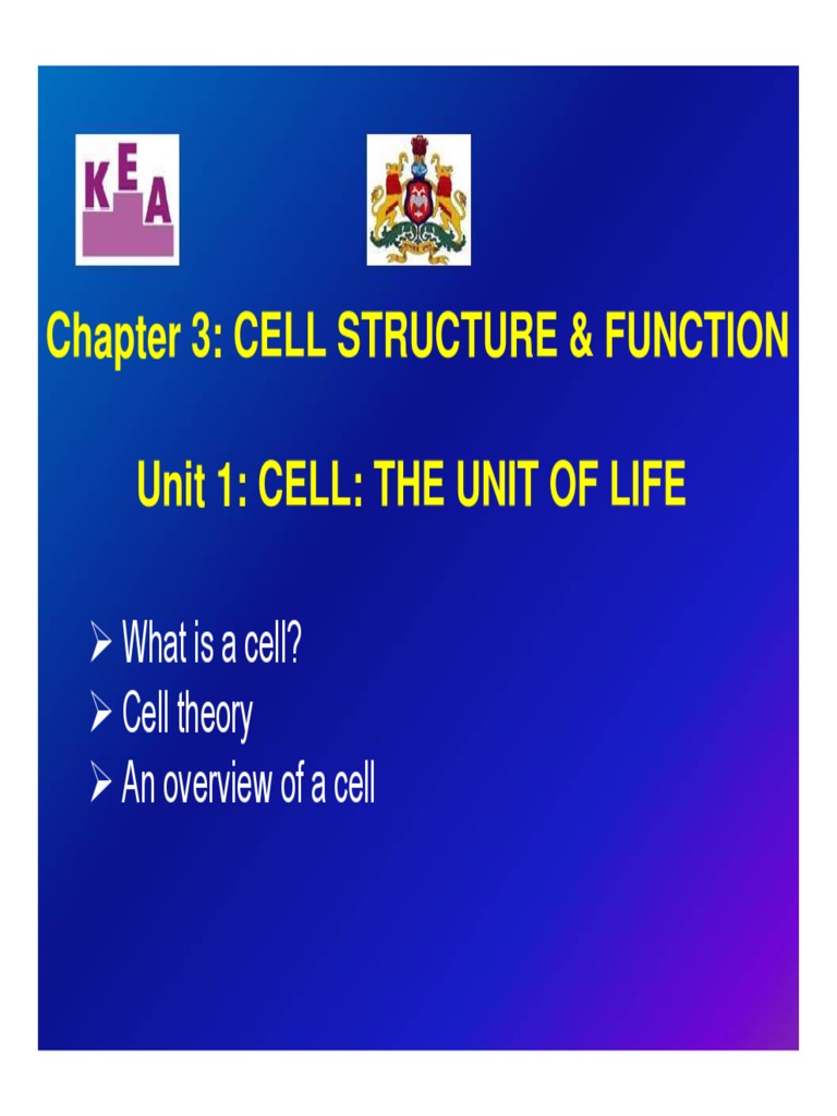 Chapter 3: Cell Structure & Function Unit 1: Cell: The Unit of Life | PDF | Cell Nucleus | Cell ...