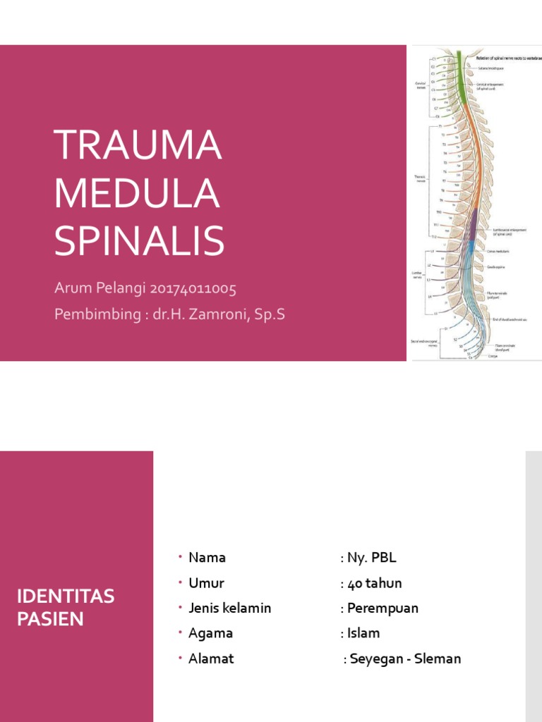 Trauma Medula Spinalis: Diagnosis dan Terapi | PDF