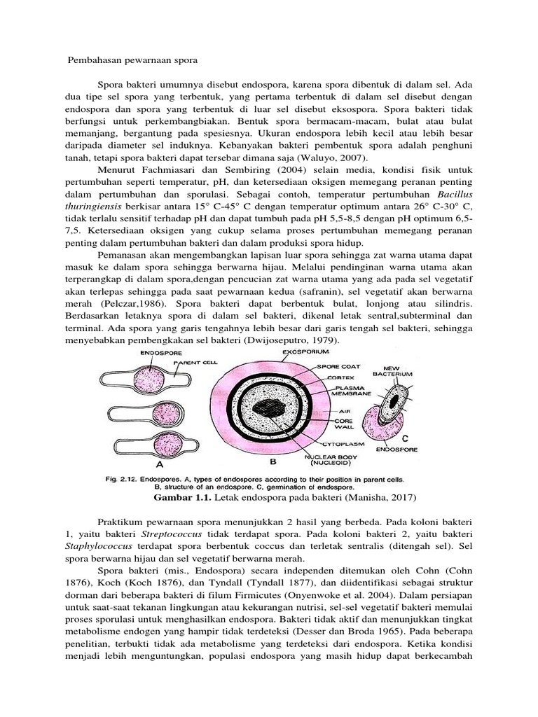 Pembahasan Pewarnaan Spora | PDF