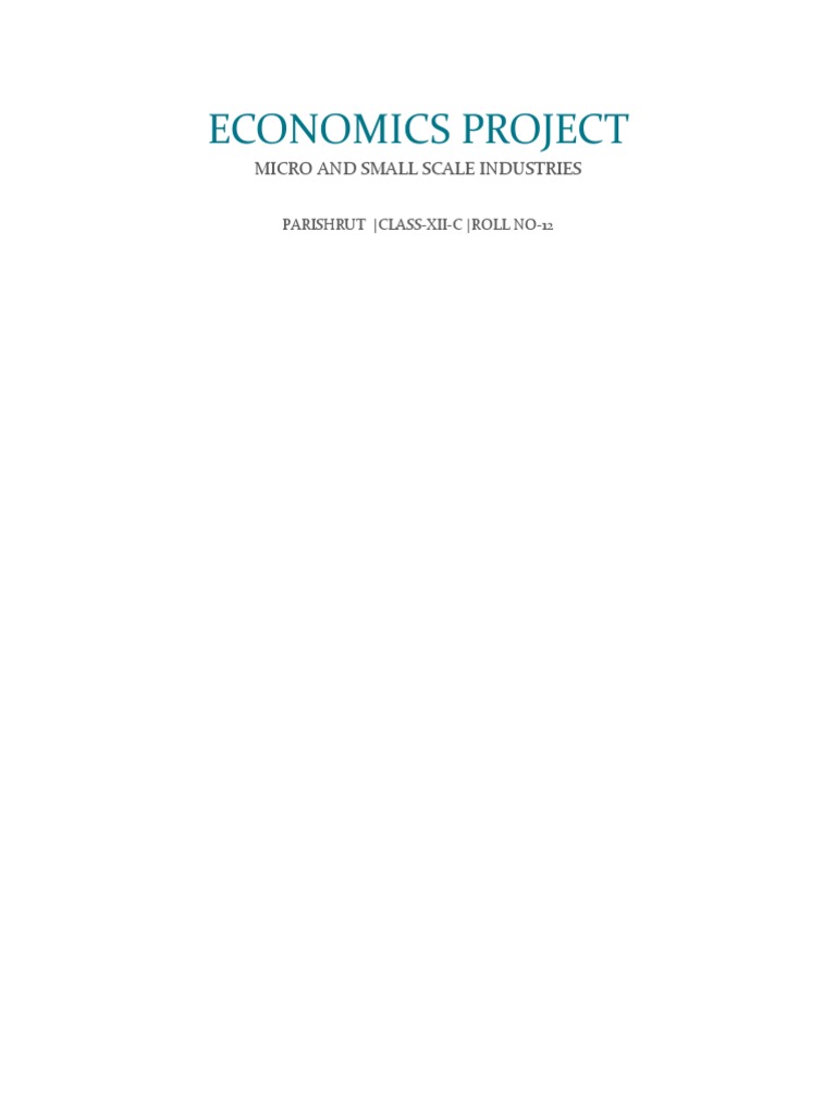 Economics Project: Micro and Small Scale Industries | Download Free PDF ...