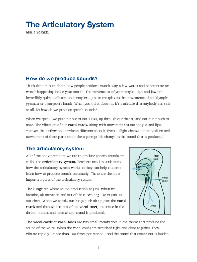 The Articulatory System | PDF | Mouth | Speech