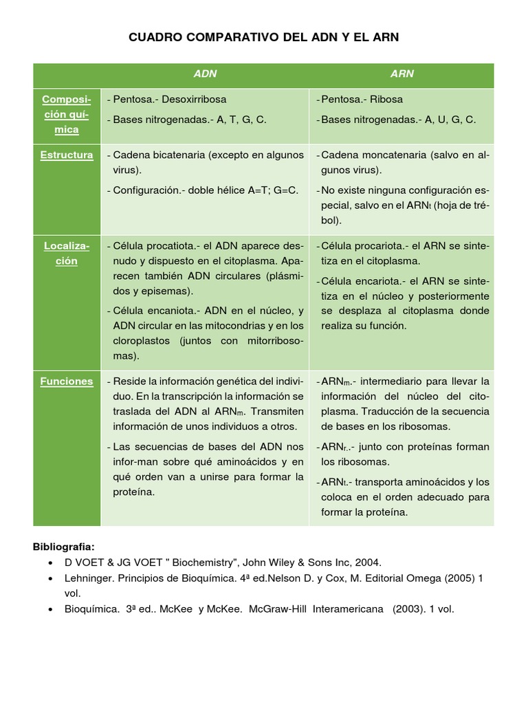 Adn y Arn Diferencias | Descargar gratis PDF | Adn | Rna
