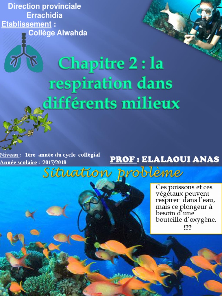 Respiration 1AC - ELALAOUI | PDF | Branchie | Respiration