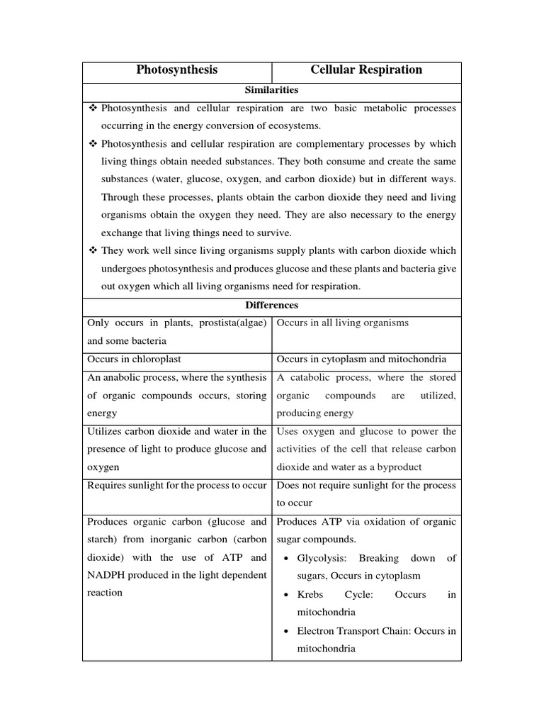 Individual Assignment 1 | PDF | Cellular Respiration | Photosynthesis