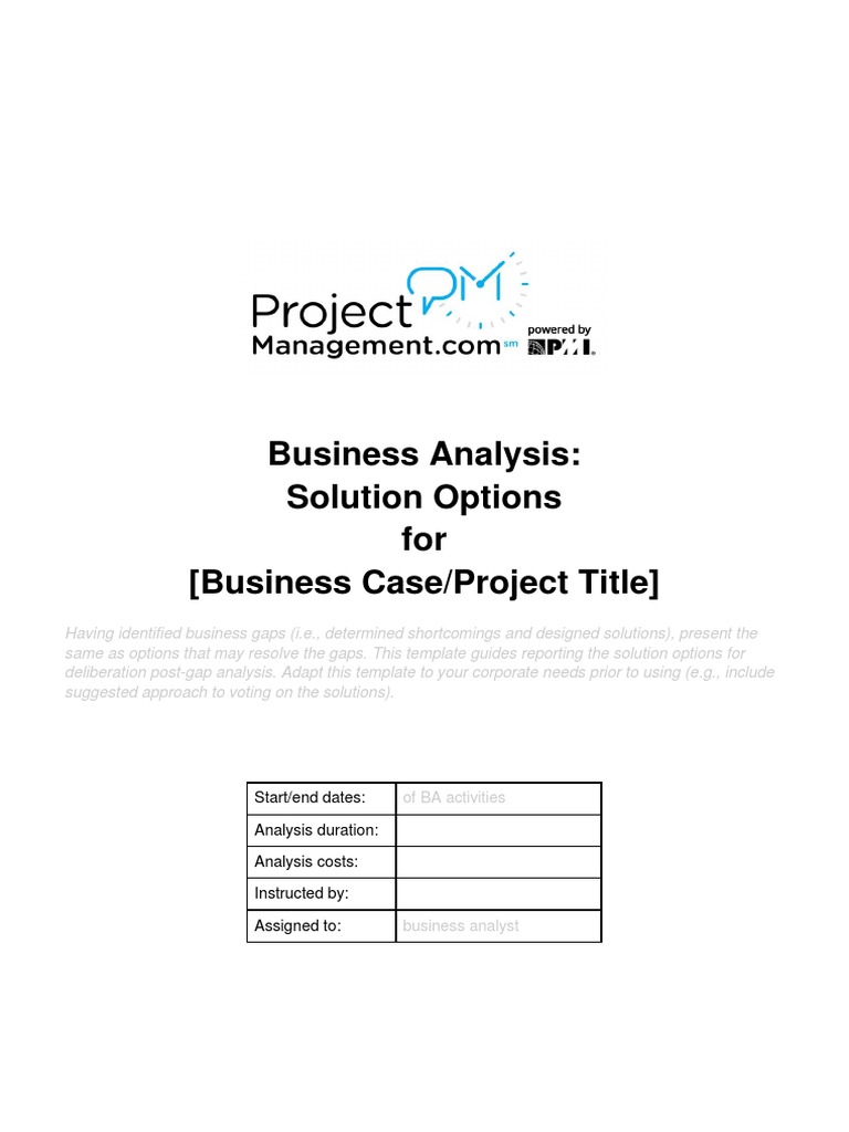 Business Analysis Solution Options Template | PDF