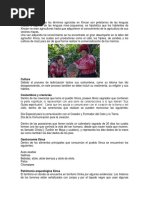 Xinca Ubicacion Geografica | PDF | Cultura de las Americas | America latina