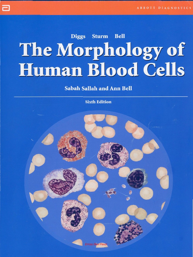 1.atlas Hematologi Diggs PDF | PDF | Haematopoiesis | Hematopoietic ...