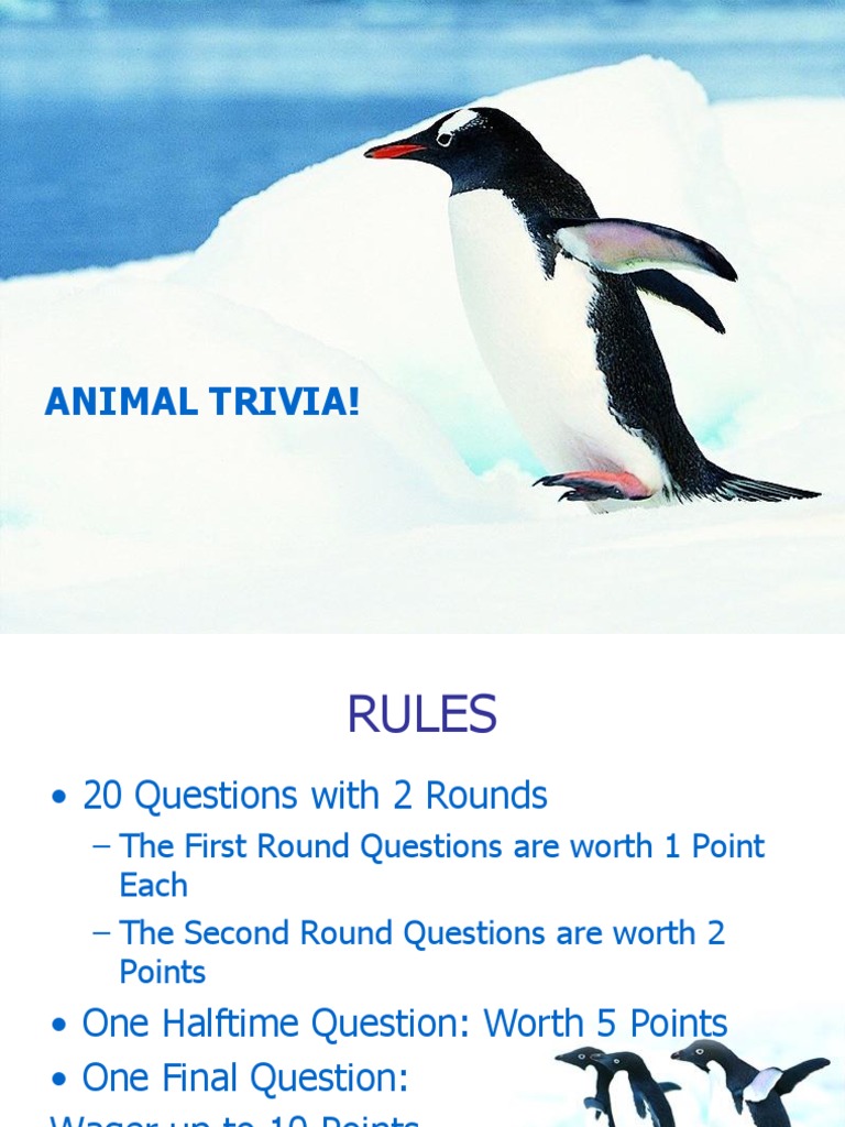 Animal Trivia Night Rules and Questions | PDF | Livestock ...