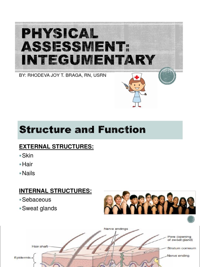 Physical Assessment - Integument | PDF | Nail (Anatomy) | Human Skin Color