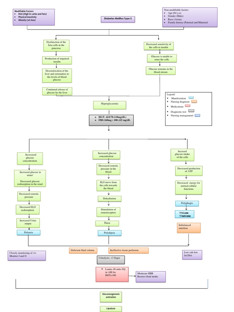 Concept Map Marwah | PDF | Glucose | Liver