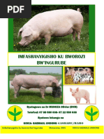 UMUSHINGA Wingurube 001 | PDF