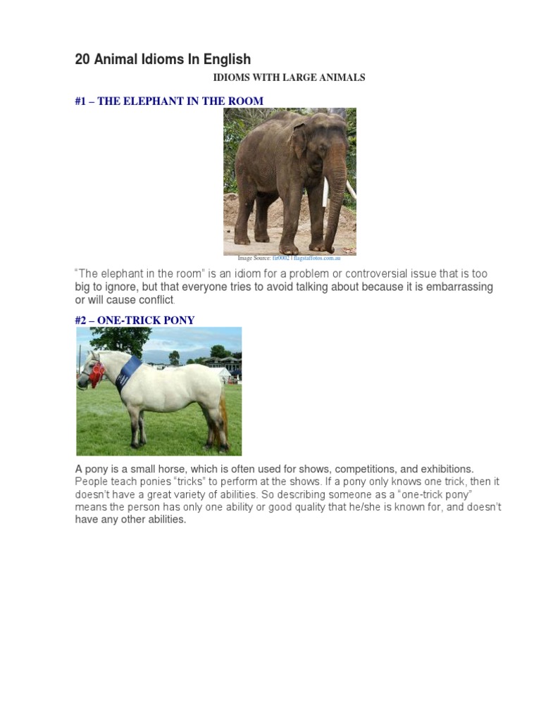 20 Animal Idioms in English PDF | PDF | Idiom