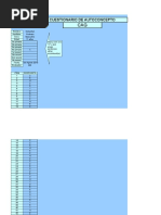 Test Mapi Digitalizado | PDF | Microsoft Excel | Software propietario