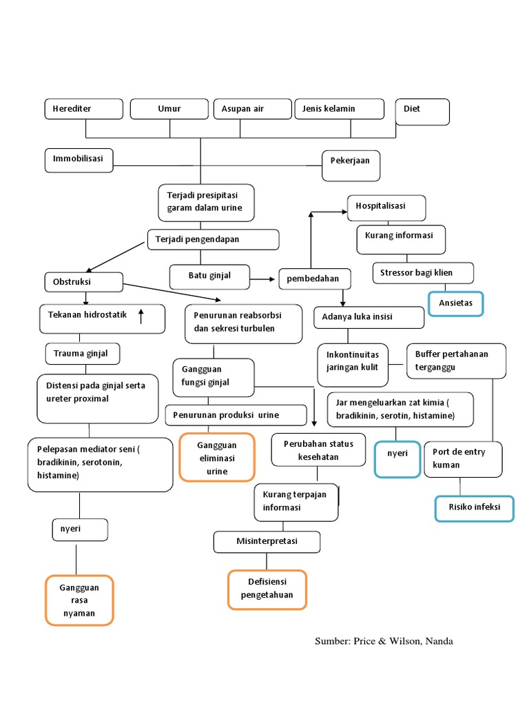 Pathway Fix Batu Renal | PDF