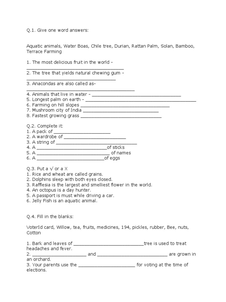 Class 3 GK Worksheet | PDF