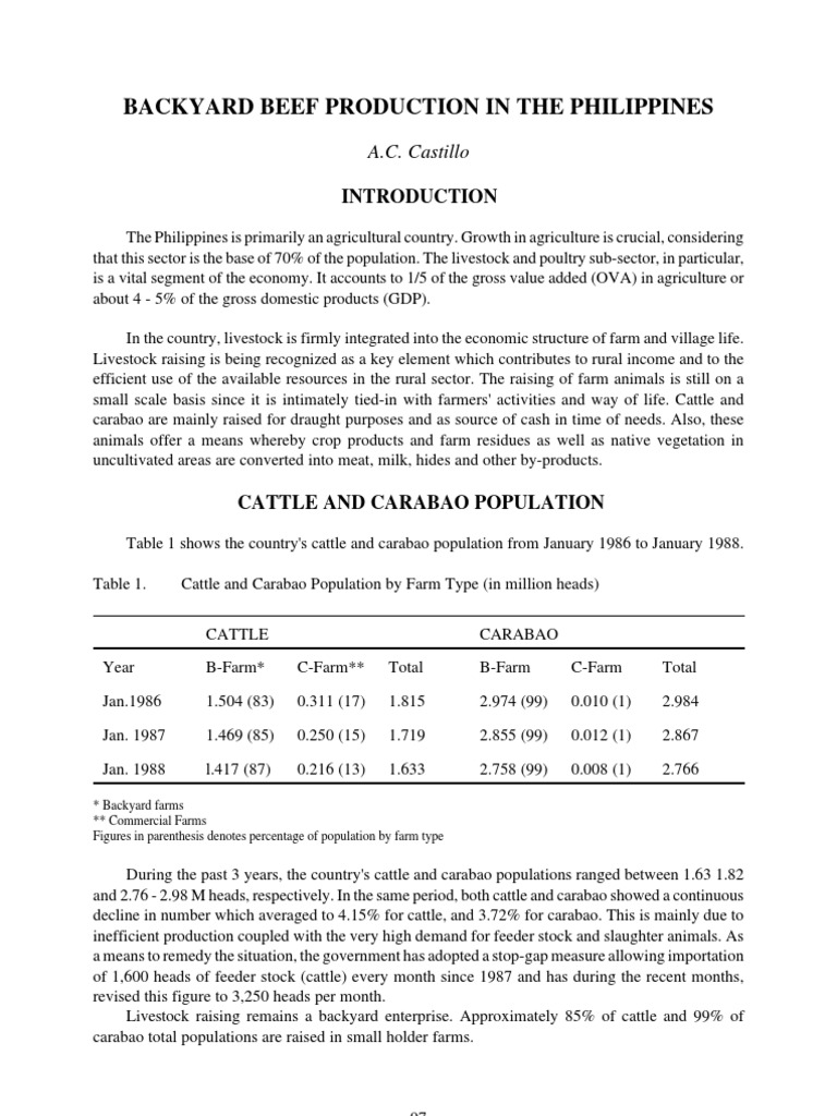 Backyard Beef Production in The Phils | PDF | Cattle | Farms