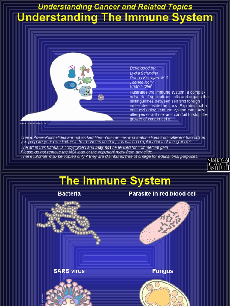 Understanding The Immune System | Download Free PDF | T Cell | Immune ...