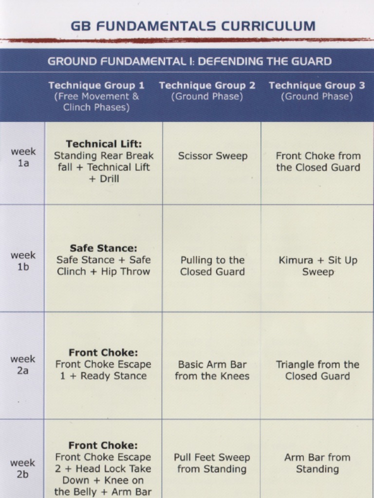 Gracie Barra Fundamentals | PDF